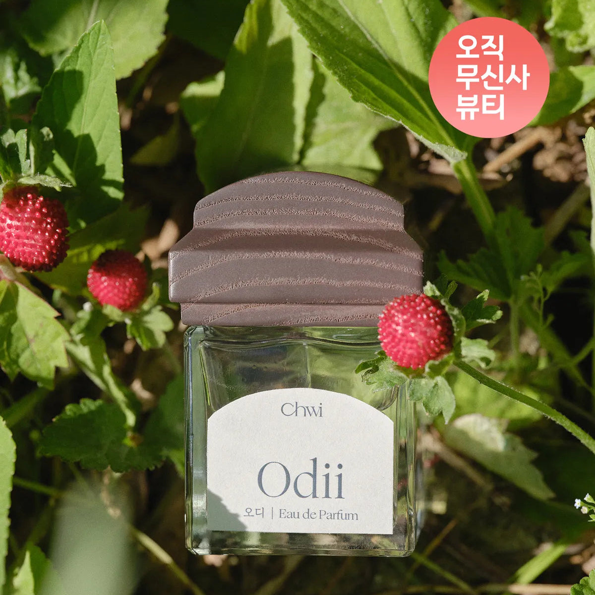 CHWI Eau de Parfum Odii 50ml – SEOUL TERRACE