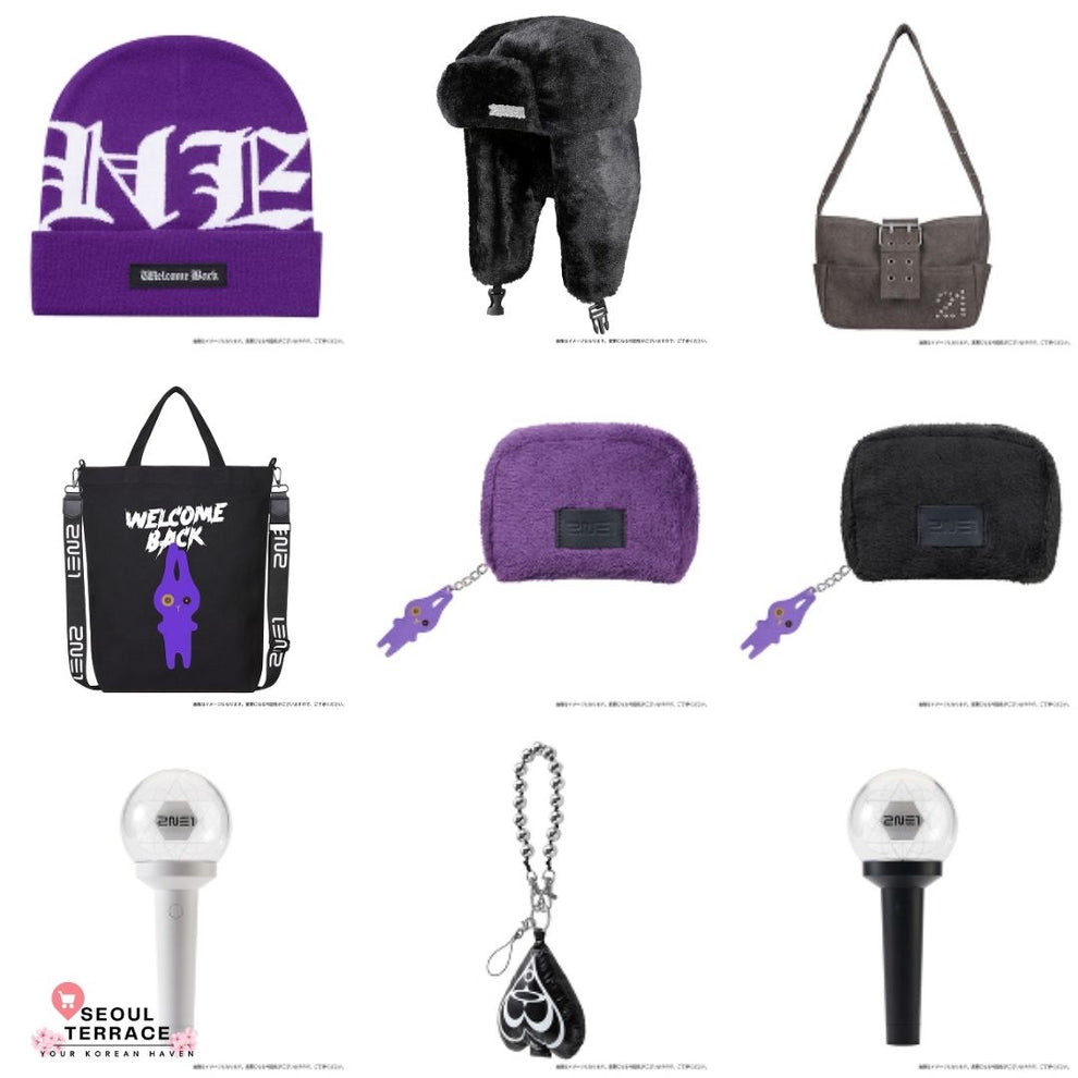 2NE1 JAPAN - 'WELCOME BACK' OFFICIAL MERCH MD – SEOUL TERRACE