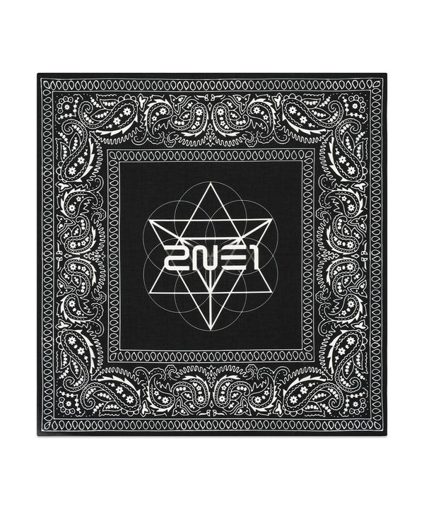 2NE1 - 'Welcome Back' 2024 Official Merch MD – SEOUL TERRACE