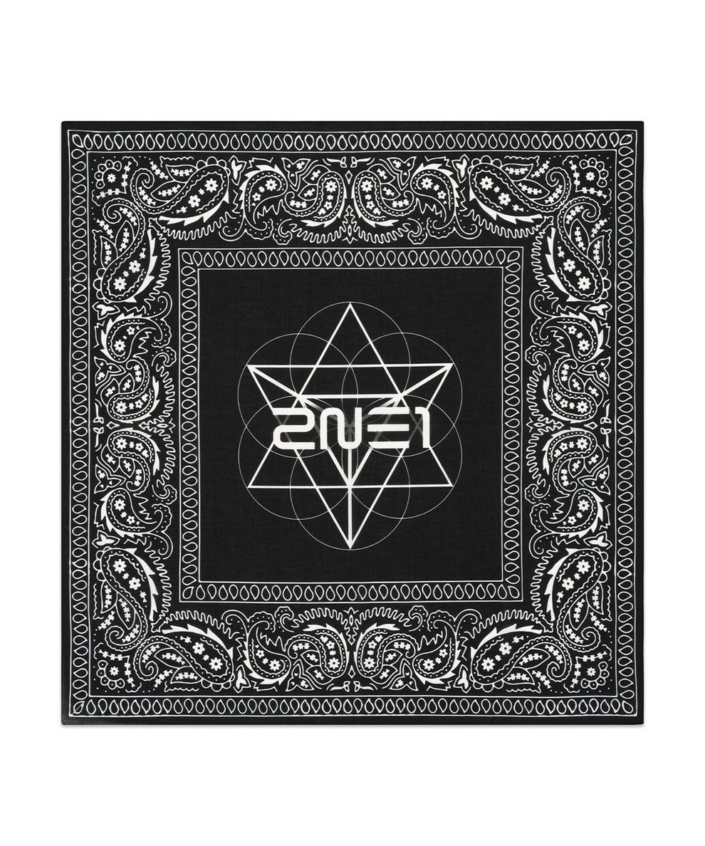 2NE1 - 'Welcome Back' 2024 Official Merch MD – SEOUL TERRACE